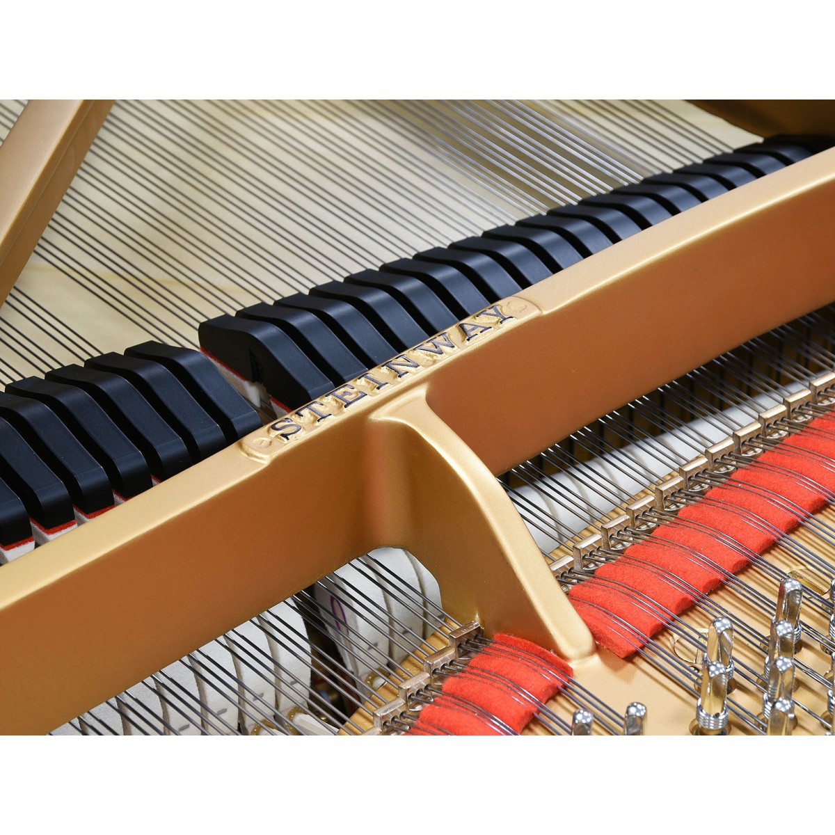 Musikinstrumente und Musikzubehör